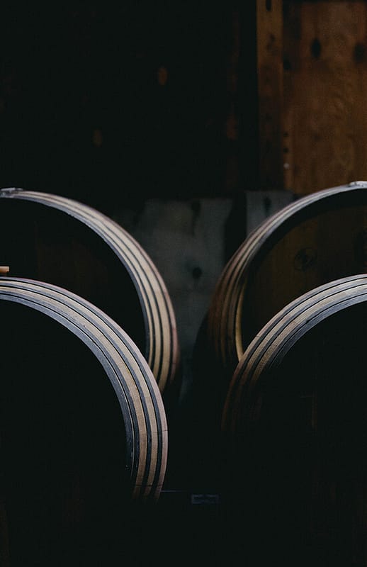 Linne Calodo - Makers & Allies