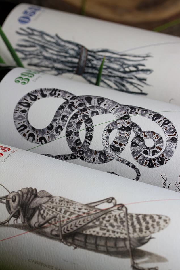 The Fableist - Makers & Allies